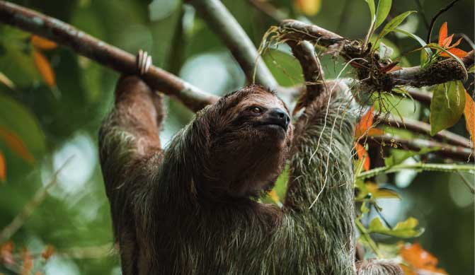 Ave del Sol Travel: Personalized luxury travel in Central America